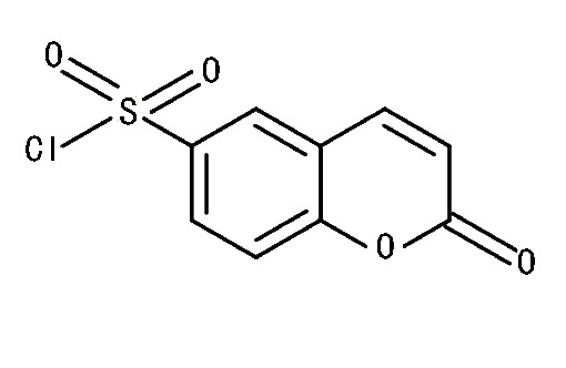 Coumarin-6-sulfonyl chloride - BioRuler