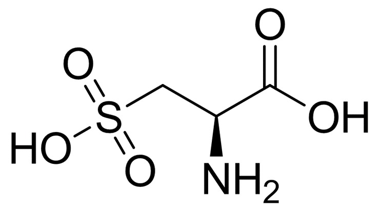 L Cysteic Acid Bioruler