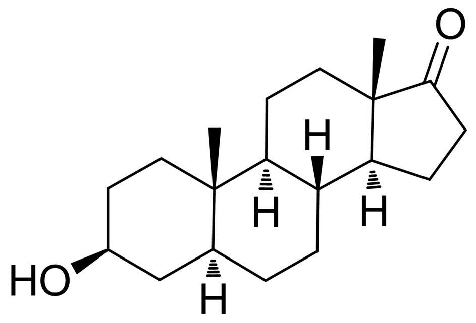 Epiandrosterone - BioRuler