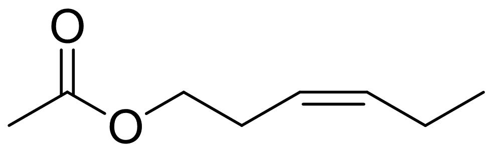 Leaf Acetate - BioRuler